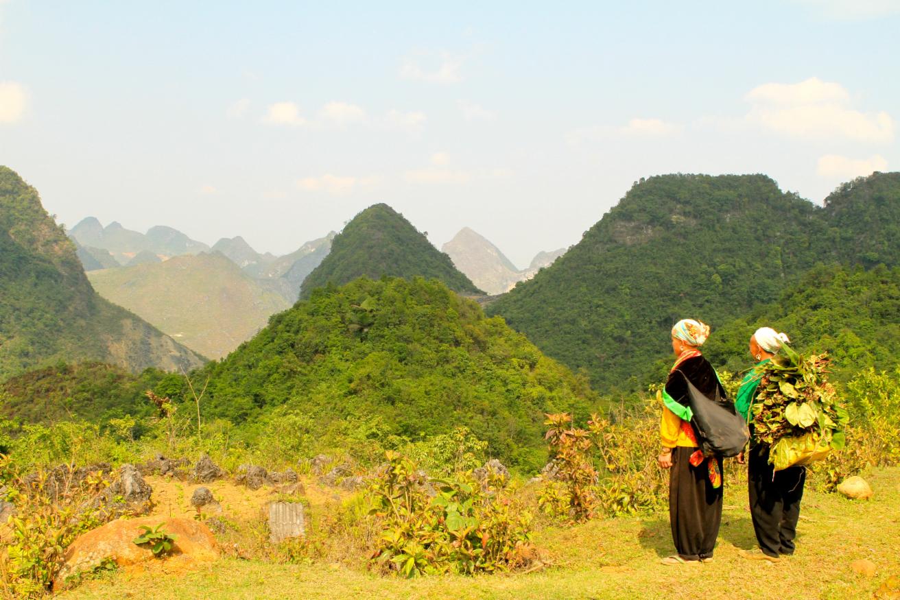 NORTH VIETNAM - MOUNT FAN XI PANG
