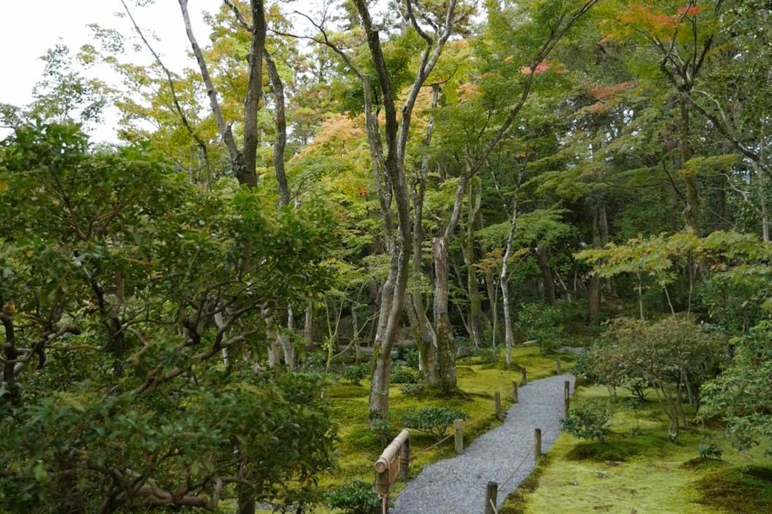 36 - MURIN-AN - JAPAN